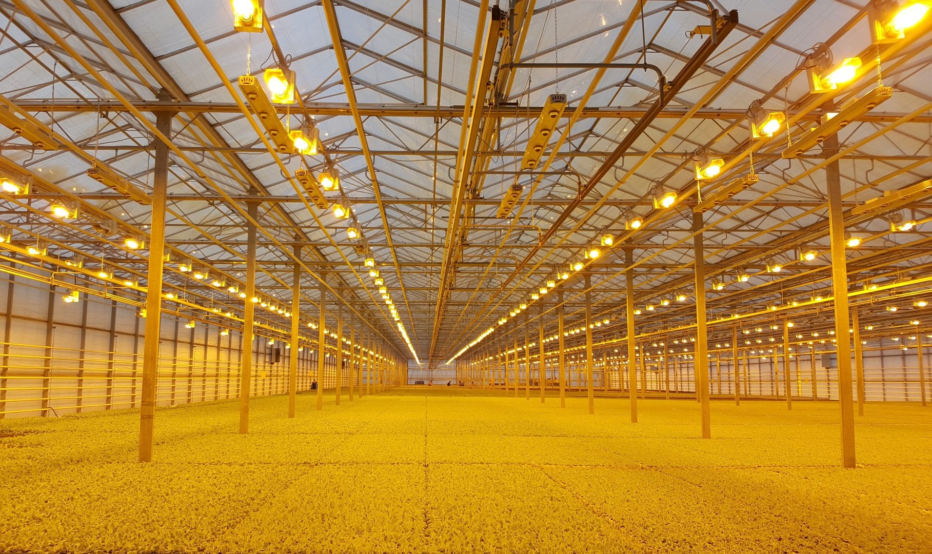 Hortixs Electrotechnical installation greenhouse Electrical systems